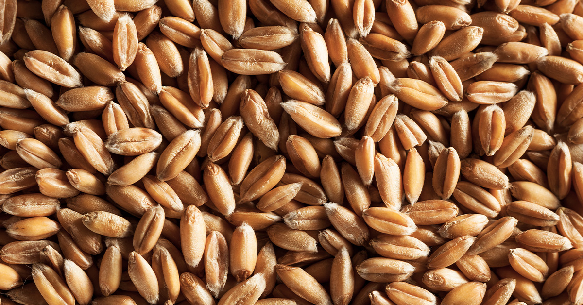 Managing your hazard analysis raw materials - Riskplaza Europe